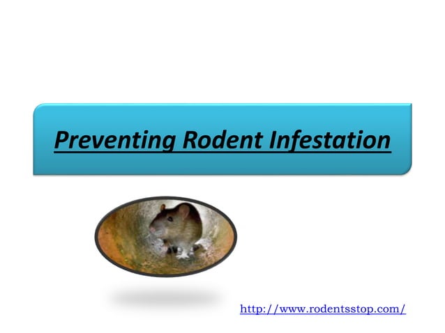 Preventing Rodent Infestation | PPT