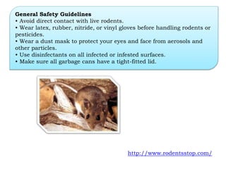 Preventing Rodent Infestation | PPT | Free Download