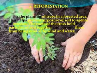 Preventing soil erosion 02 20-12 | PPTX