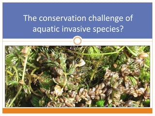 Preventing the Spread of Aquatic Invasive Species | PDF