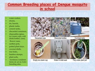 Prevention and control of Aedes in school.pptx