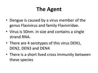 Prevention and control of dengue fever | PPTX