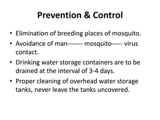 Prevention and control of dengue fever | PPTX