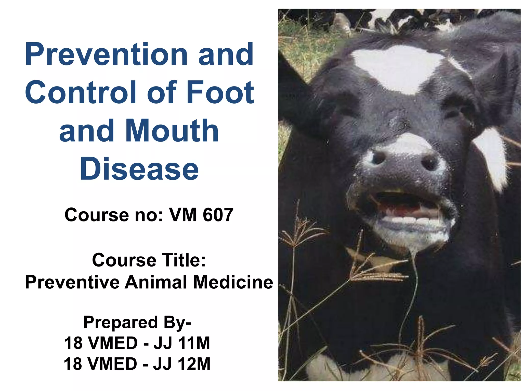 Prevention and control of FMD | PPTX