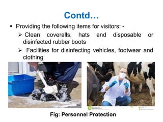 Prevention and control of FMD | PPTX