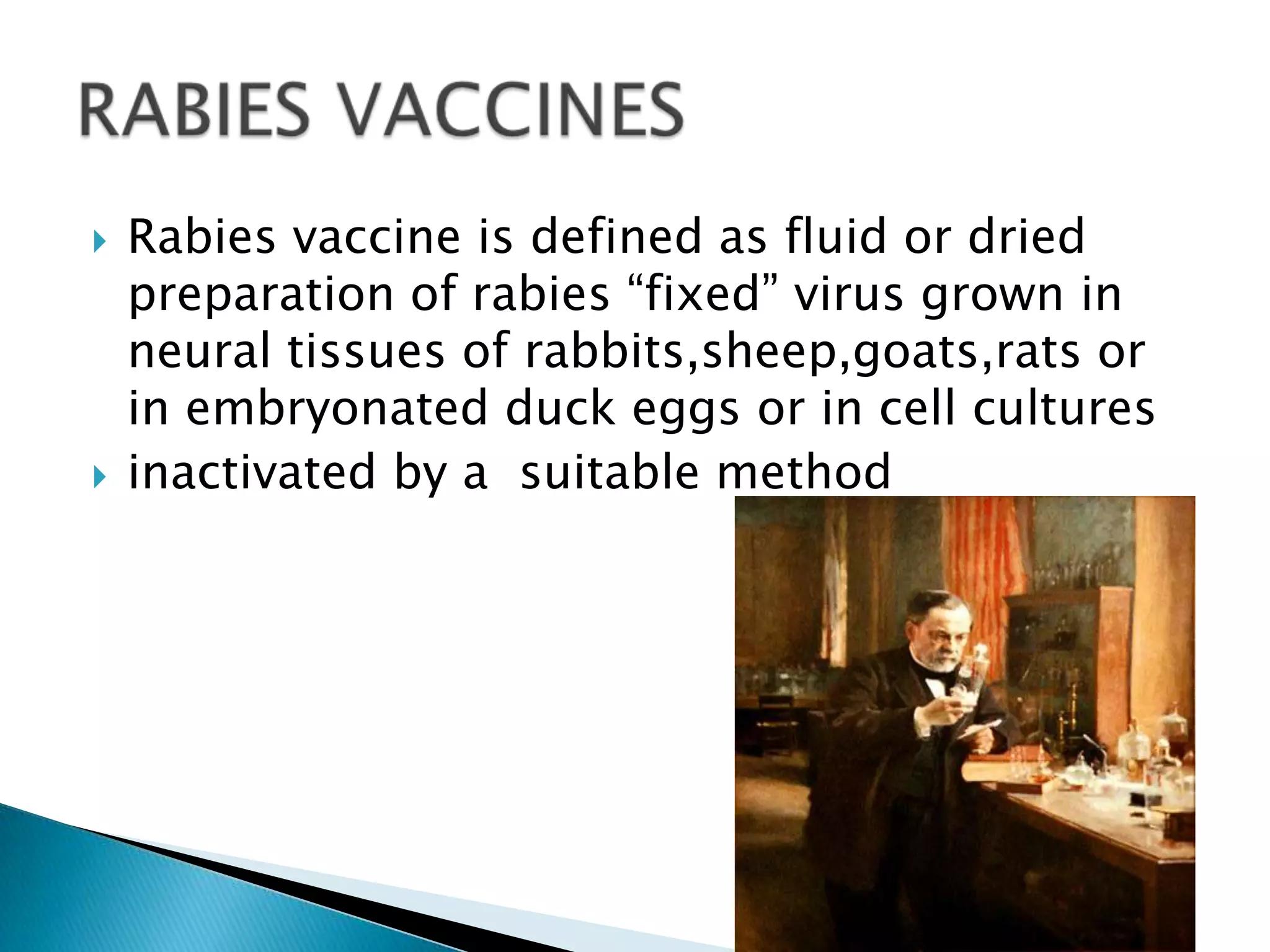Prevention and control of rabies | PPTX
