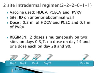 Prevention and control of rabies | PPTX