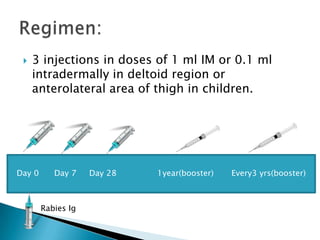 Prevention and control of rabies | PPTX