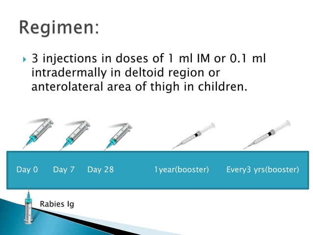 Prevention and control of rabies | PPTX