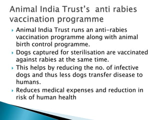 Prevention and control of rabies | PPTX
