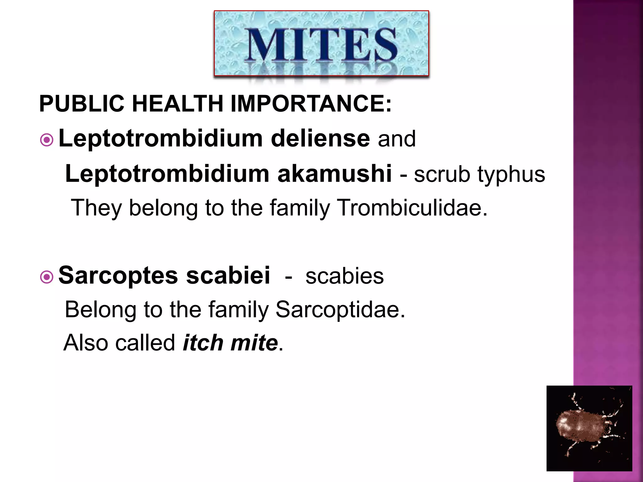 Prevention and control of ticks and mites | PPTX