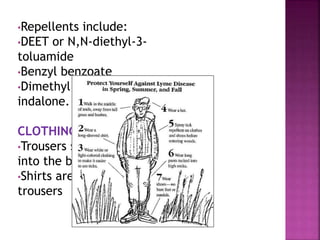 Prevention and control of ticks and mites | PPTX