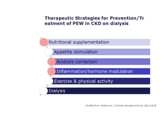 Prevention and treatment of protein energy wasting in | PPT