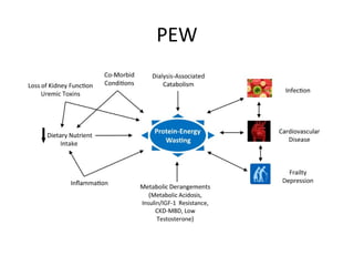 Prevention and treatment of protein energy wasting in | PPT