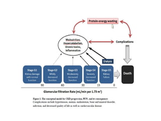 Prevention and treatment of protein energy wasting in | PPT