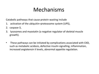Prevention and treatment of protein energy wasting in | PPT
