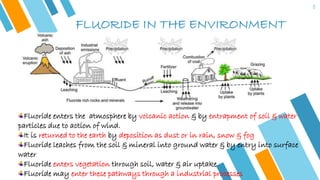 Prevention by Fluoridation | PPT