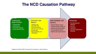 Prevention of NCD in Malaysia | PPT
