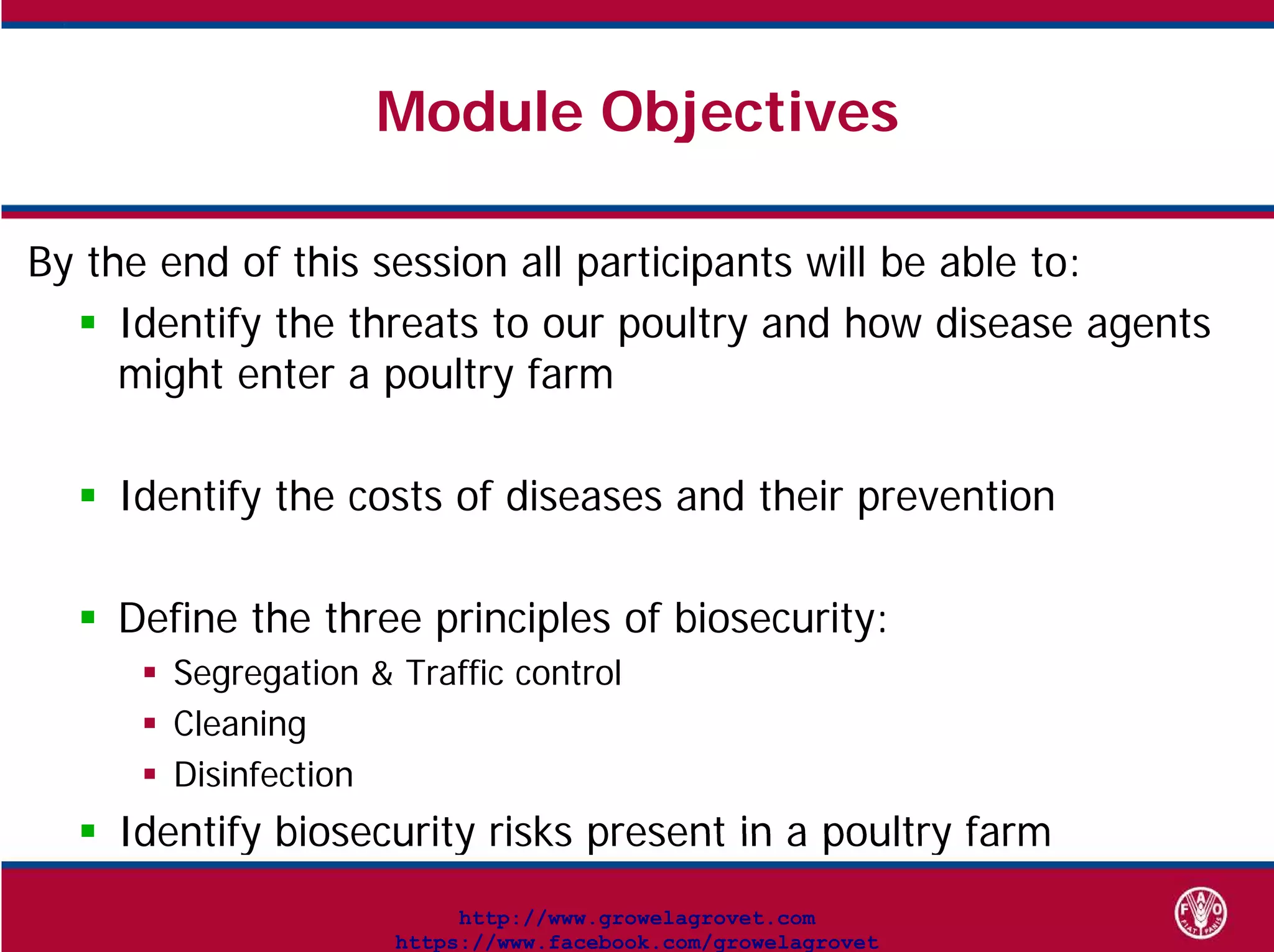 Prevention & Control of Poultry Diseases | PDF