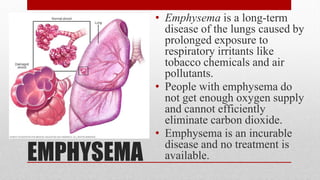 PREVENTION, DETECTION AND TREATMENT OF DISEASES OF THE RESPIRATORY ...