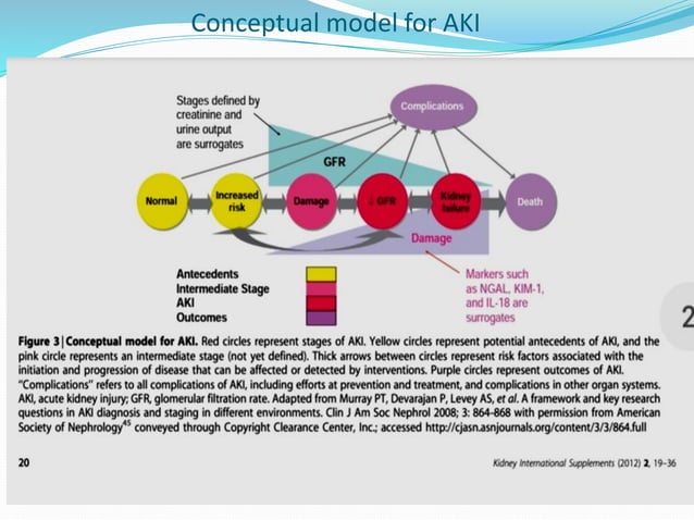 Prevention of AKI | PPT