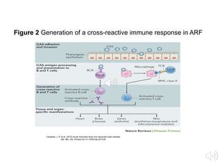 Prevention of ARF RHD (recording) (1).pptx