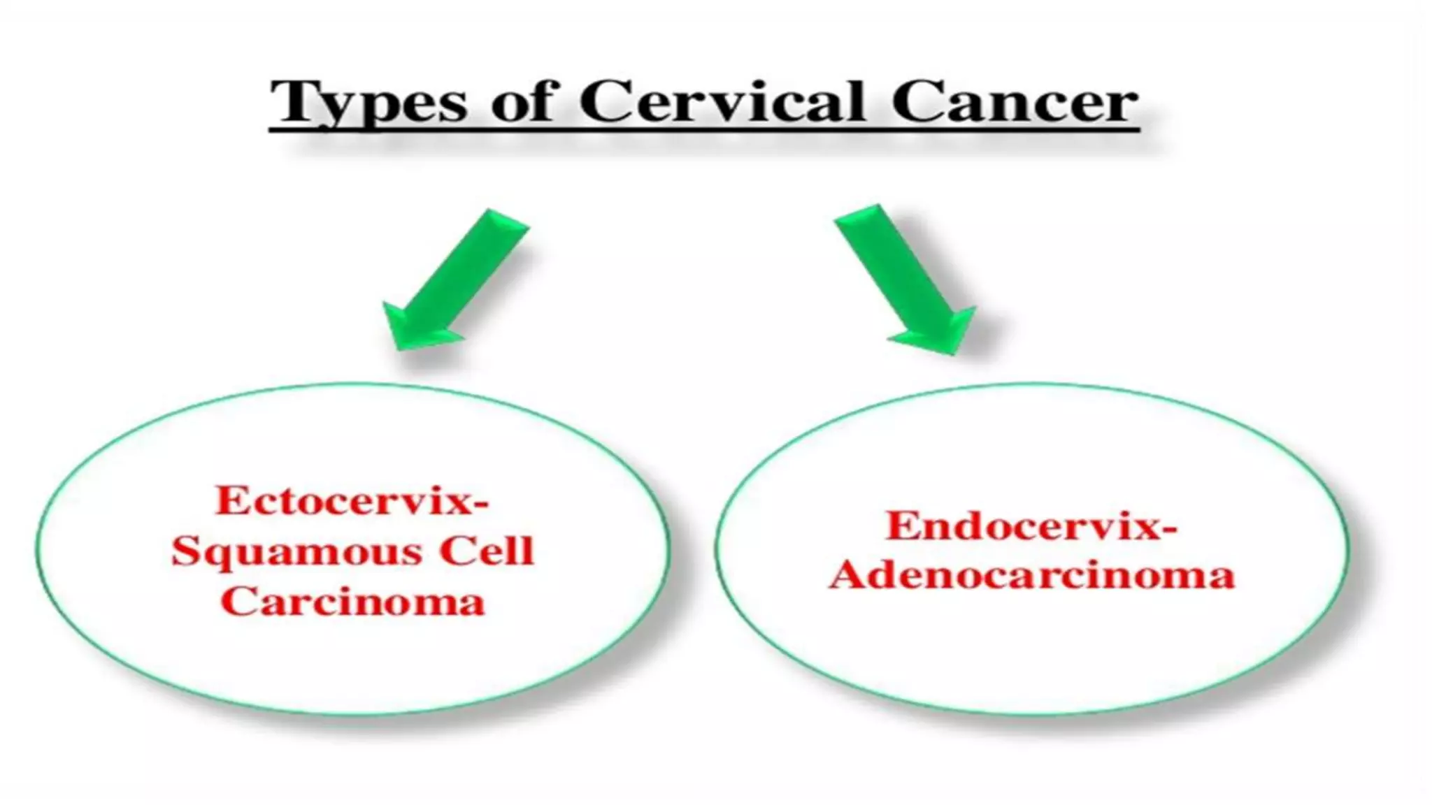 Cervical Cancer [ Incidence, Prevalence, Research Study, Introduction ...