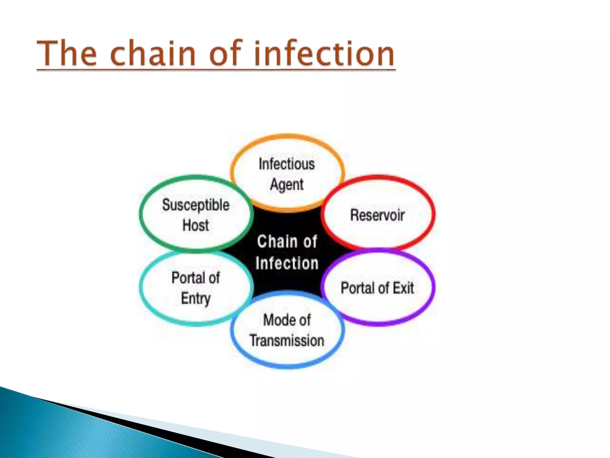 Prevention of cross infection1 | PPTX | Infectious Diseases | Diseases ...