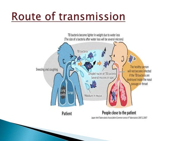 Prevention of cross infection1 | PPTX | Infectious Diseases | Diseases ...