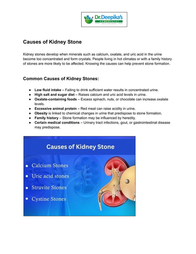 Prevention of Kidney Stones | Dr. Deepika | PDF