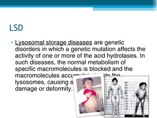 Prevention of lysosomal storage diseases and derivation of1 | PPT