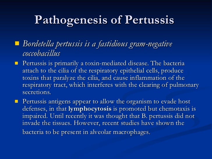 Prevention of pertussis