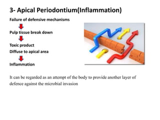 Prevention of pulpal and preapical disease | PPTX