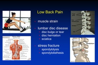 Prevention of Rowing Injury | PDF