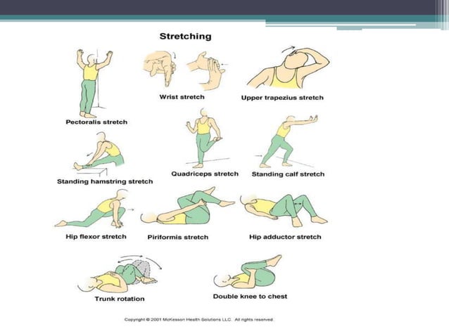 Prevention of sports injury | PPTX | Physical Therapy | Wellness