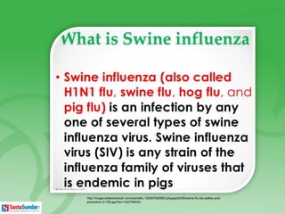Prevention of swine flu | PPT