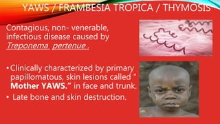 Prevention of yaws roge ppt | PPT