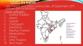 Prevention of yaws roge ppt | PPT