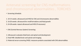 PREVENTION STRATEGIES FOR CEREBRAL PALSY.pptx