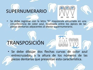 odontograma | PPTX