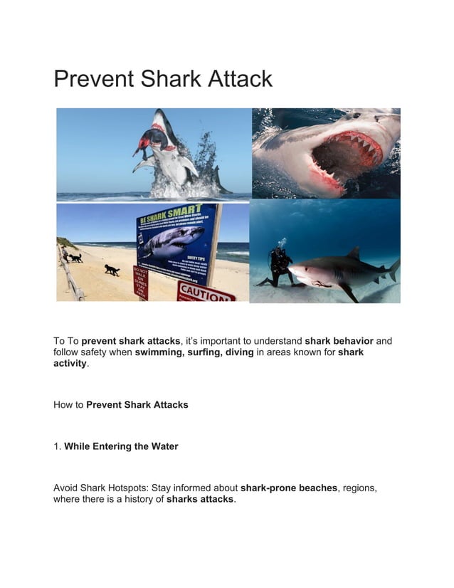 Prevent Shark Attack it’s important to understand shark behavior | DOCX