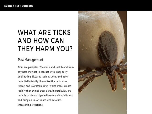 Prevent Ticks with Pest Control in Sydney | PPT