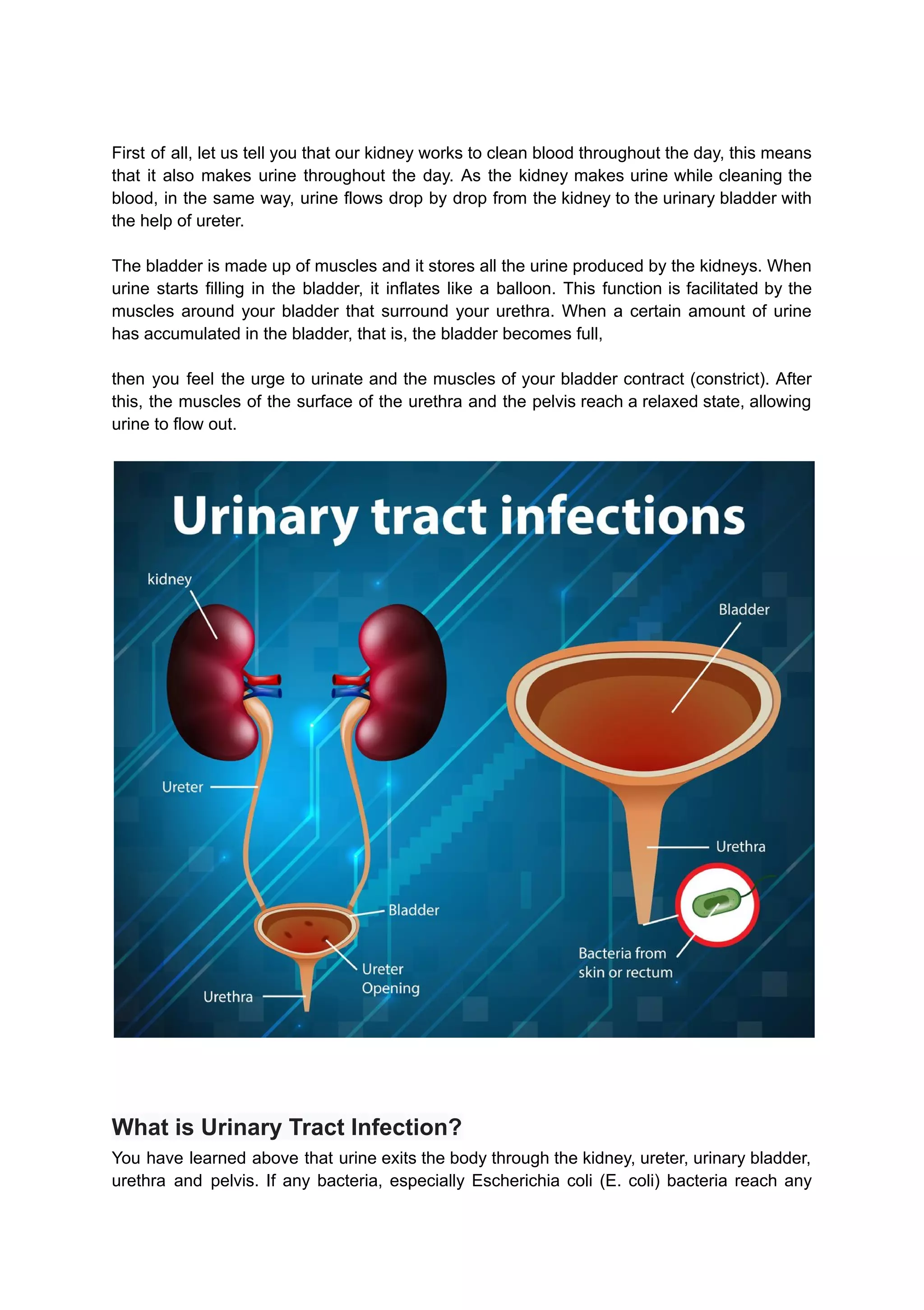 prevent urinary tract infection.pdf