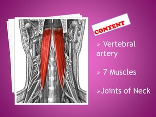 Prevertebral muscle | PPTX