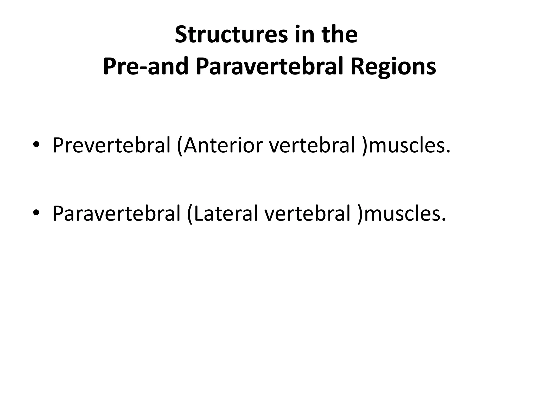 prevertebral_region.pptx