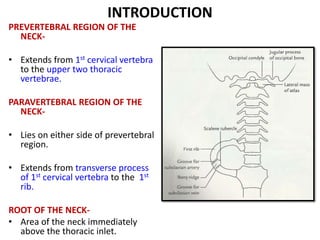 prevertebral_region.pptx