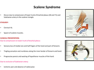 prevertebral_region.pptx