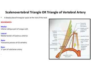 prevertebral_region.pptx