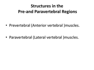 prevertebral_region.pptx