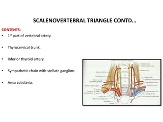 prevertebral_region.pptx